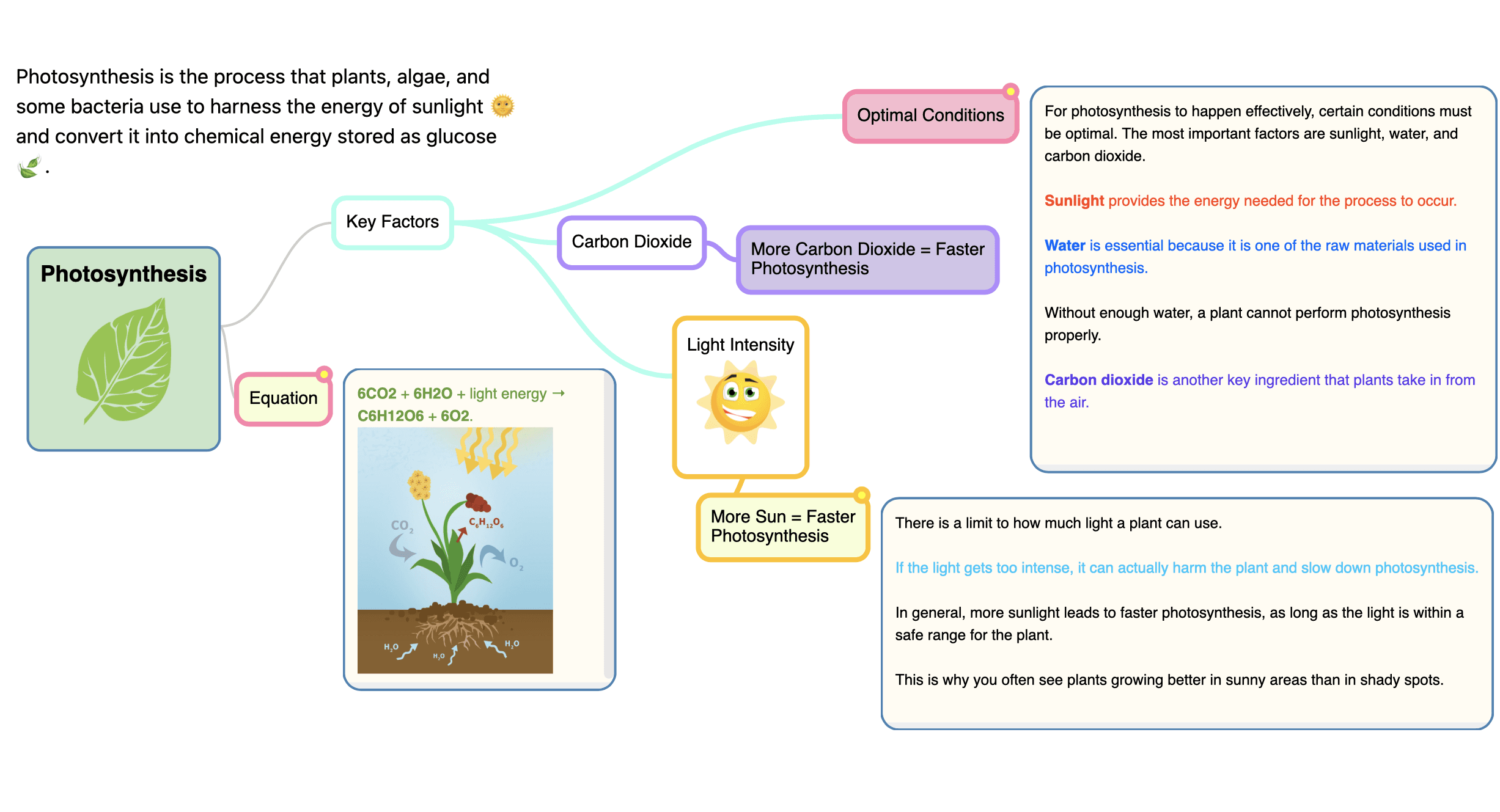 Mindmapi.ai | Online AI Mind Map Maker for Studying